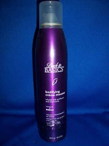 Back to Basics Bodifying Creme Mousse 8.5 oz by Graham Webb ...